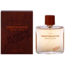 Avon Destination Grand Canyon woda toaletowa dla mężczyzn | notino.pl