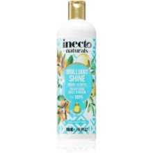 Inecto Argan champú para dar brillo y suavidad al cabello | notino.es