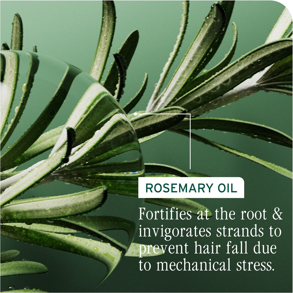 Biolage Full Rescue champô para a densidade do cabelo e proteção contra ...