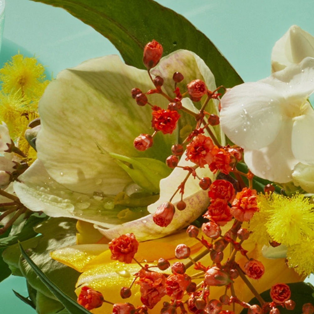 Cacharel Eden Eau de Parfum voor Vrouwen | notino.nl