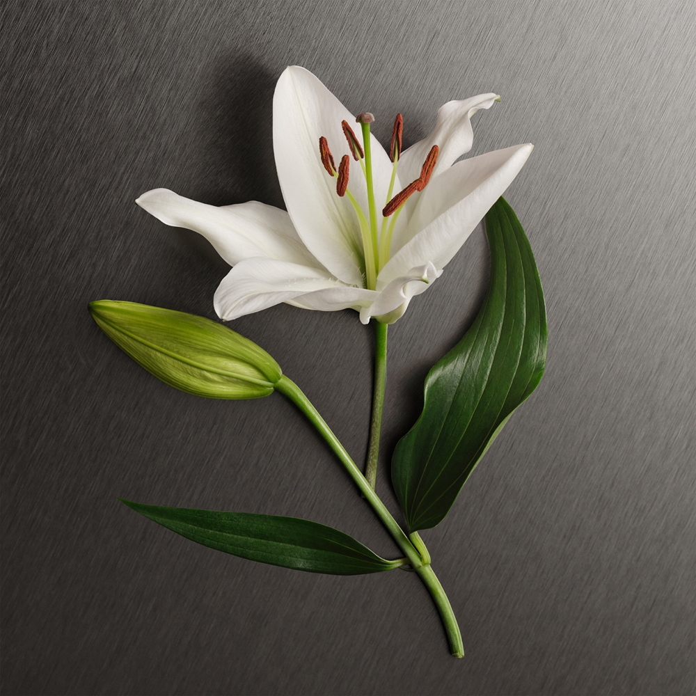 Calvin Klein Eternity For Women Eau de Parfum pour femme | notino.fr