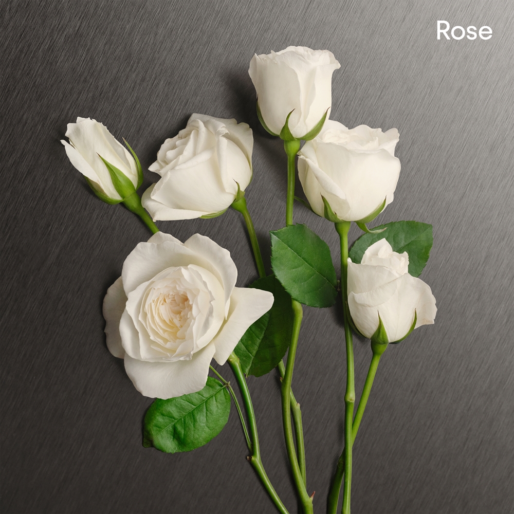 Calvin Klein Eternity | Eternity perfume | notino.es