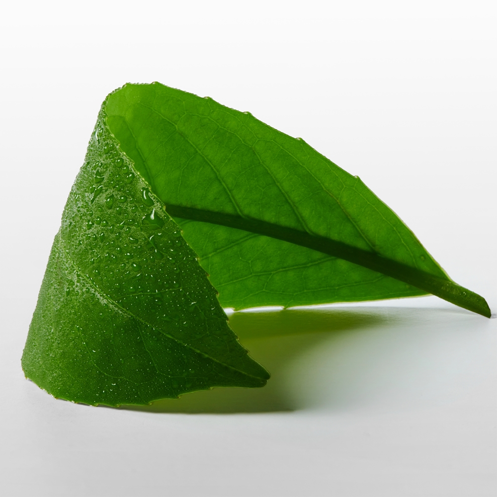 Calvin Klein CK One Essence parfém unisex | notino.cz