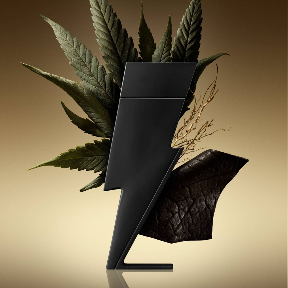 CAROLINA HERRERA Bad Boy Le Parfum | notino.dk