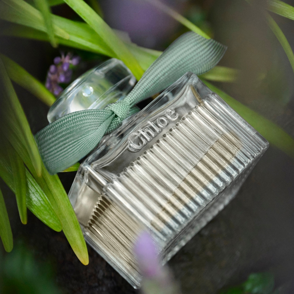 Chloé Rose Naturelle Intense Eau de Parfum refillable for women | notino.ie