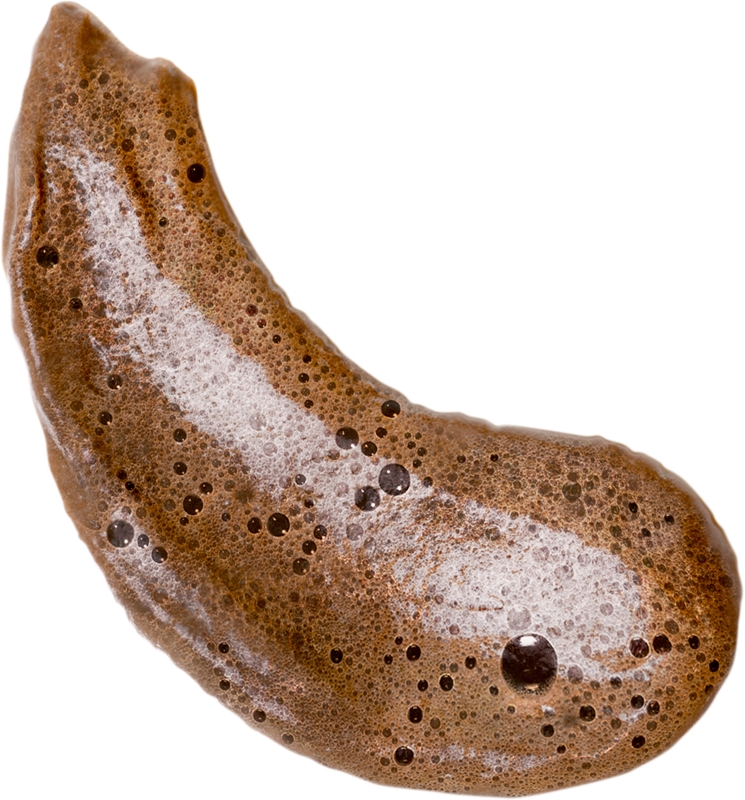 Coco & Eve Sunny Honey Bali Bronzing Foam self-tanning mousse | notino ...