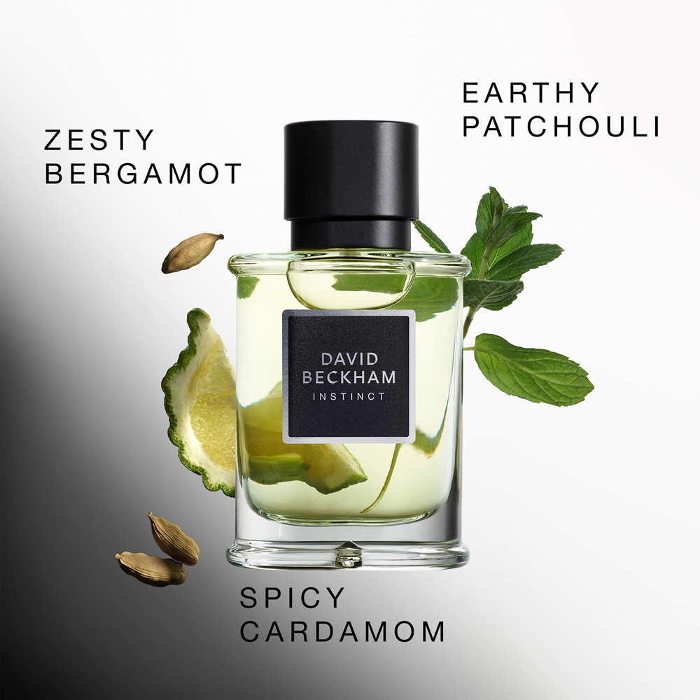 David Beckham Instinct Eau de Parfum pour homme | notino.fr