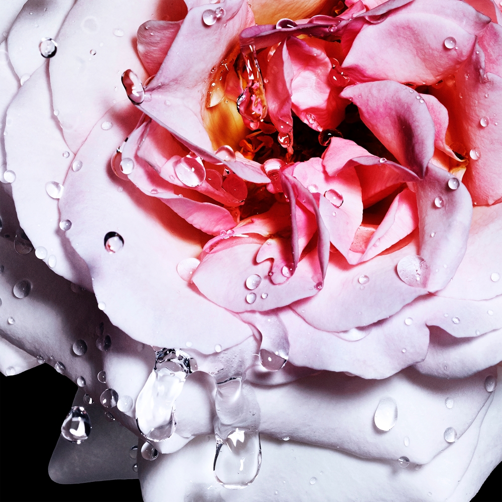 Davidoff Cool Water Woman Reborn eau de toilette for women | notino.co.uk
