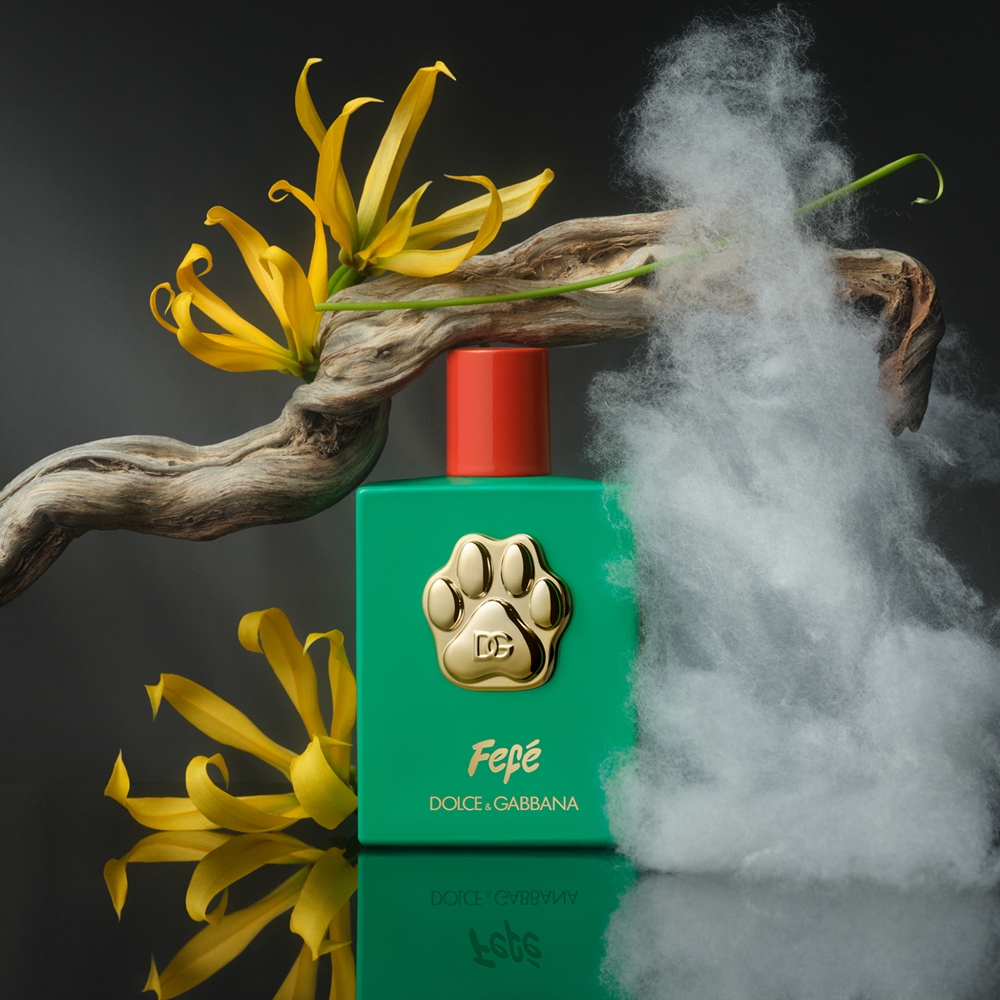 Dolce&Gabbana Fefé fragrance mist for dogs parfémovaná mlha unisex ...