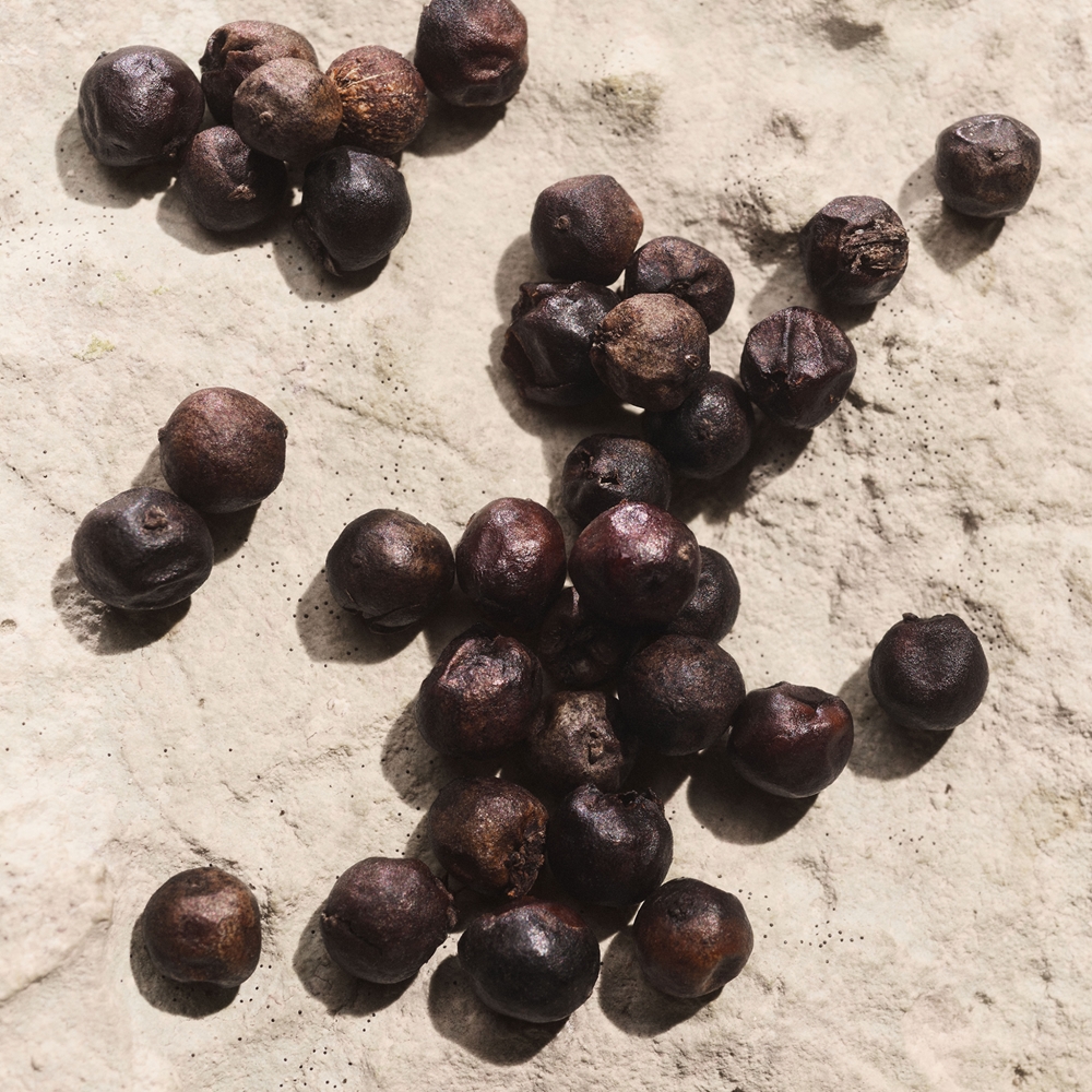 Dolce&Gabbana Light Blue Capri In Love Pour Homme Eau de Parfum NEW Eau ...