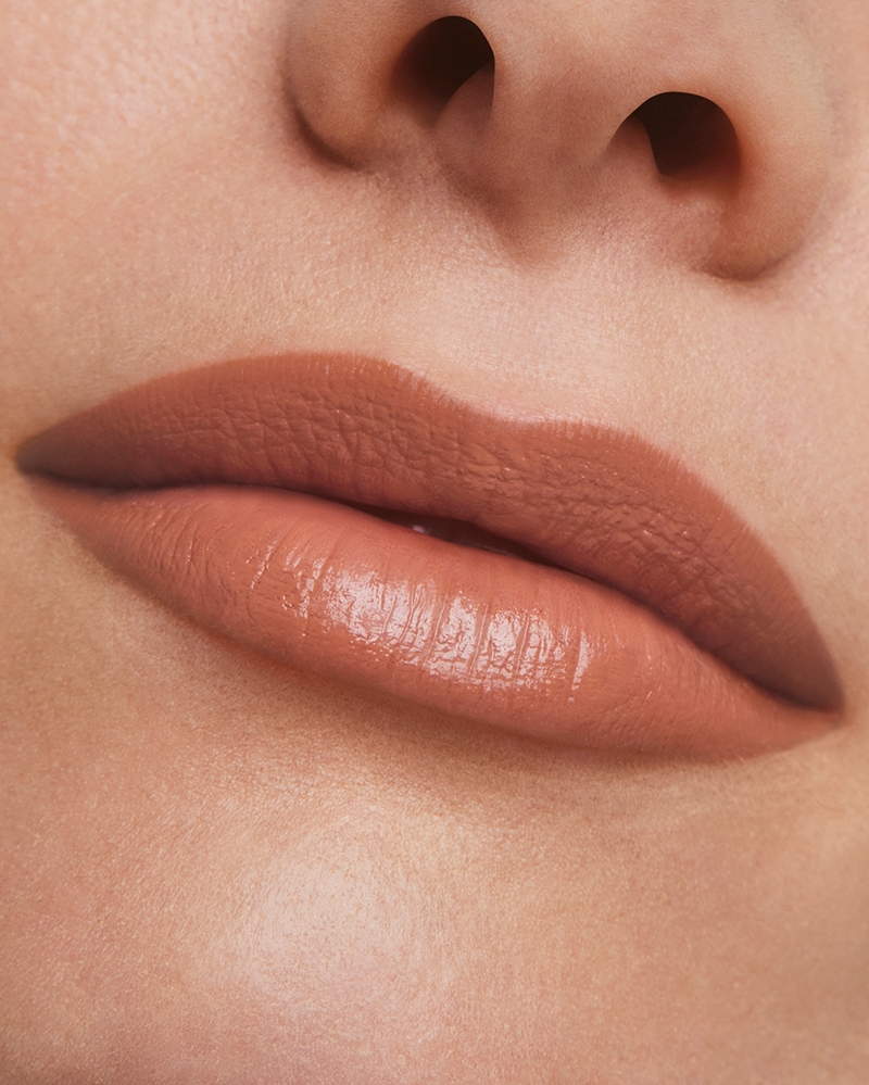Estée Lauder Pure Color Creme Lipstick krémová rtěnka | notino.cz