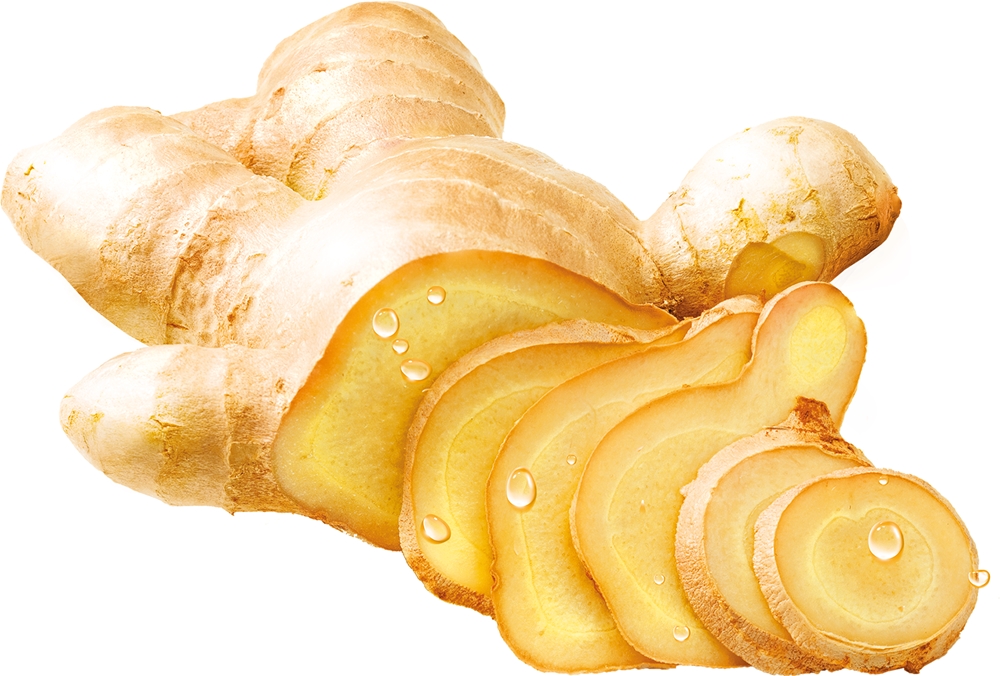 Garnier Botanic Therapy Ginger Recovery shampoo for weak and damaged ...