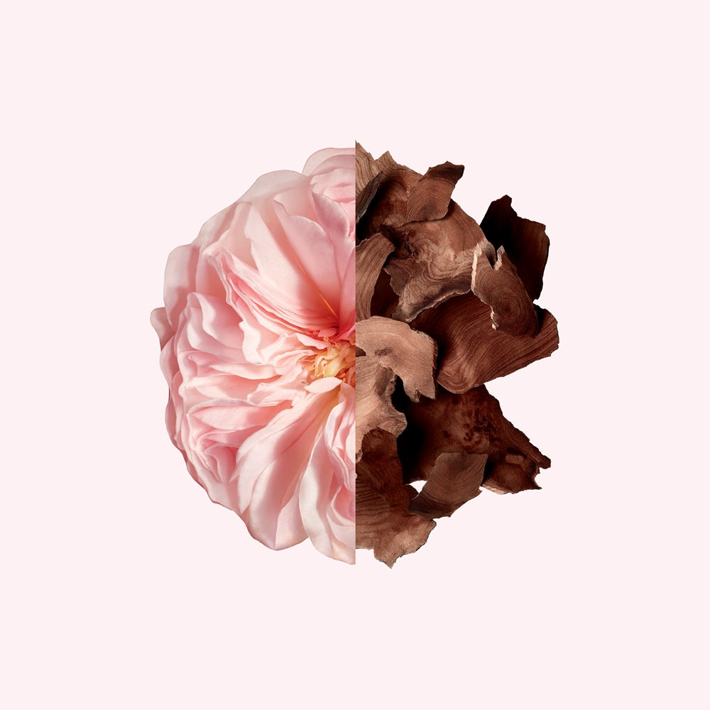 GIVENCHY Irresistible body lotion | notino.co.uk