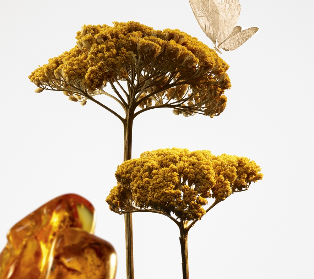 GOUTAL Sables eau de parfum for men | notino.co.uk