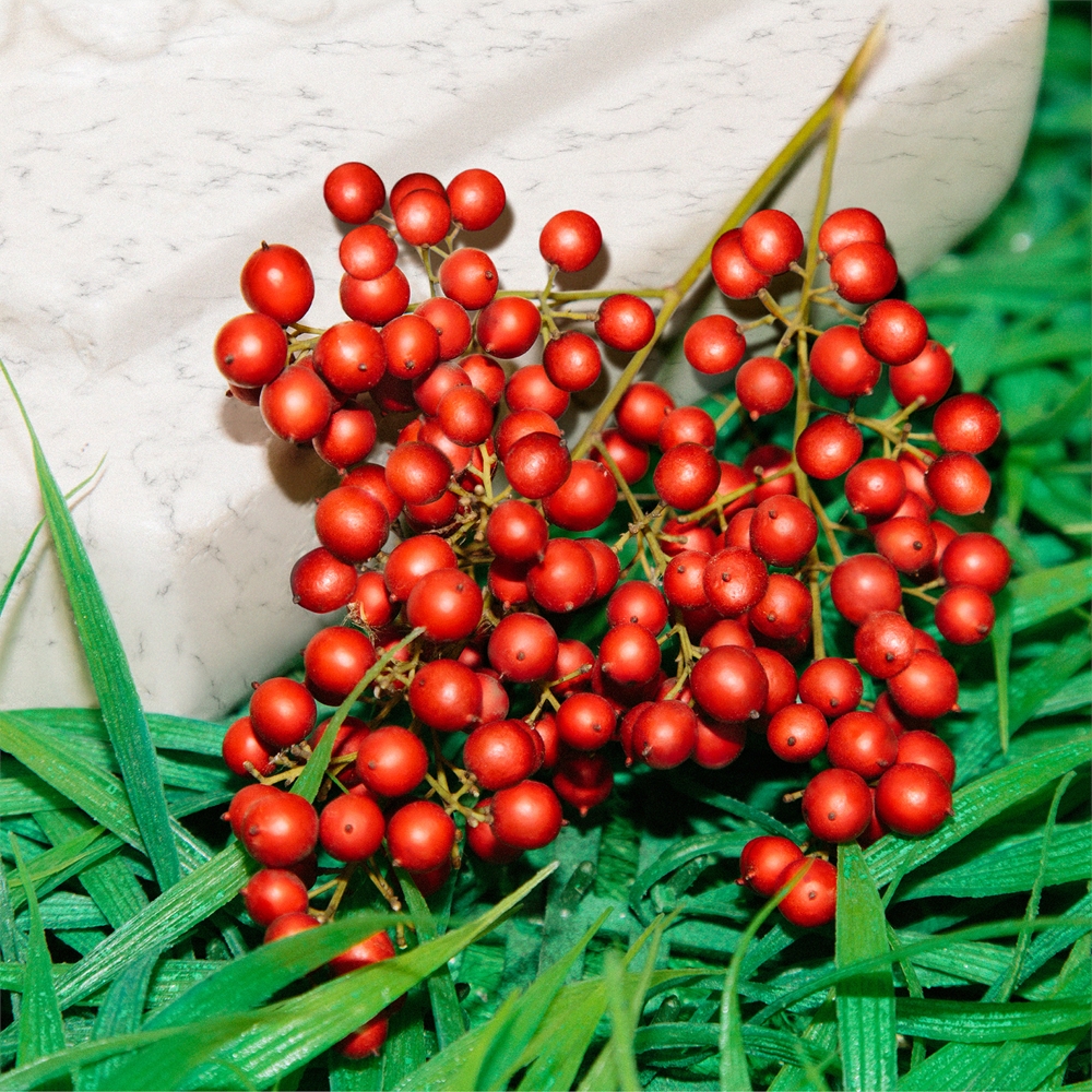 Gucci Flora Gorgeous Gardenia eau de toilette for women | notino.co.uk