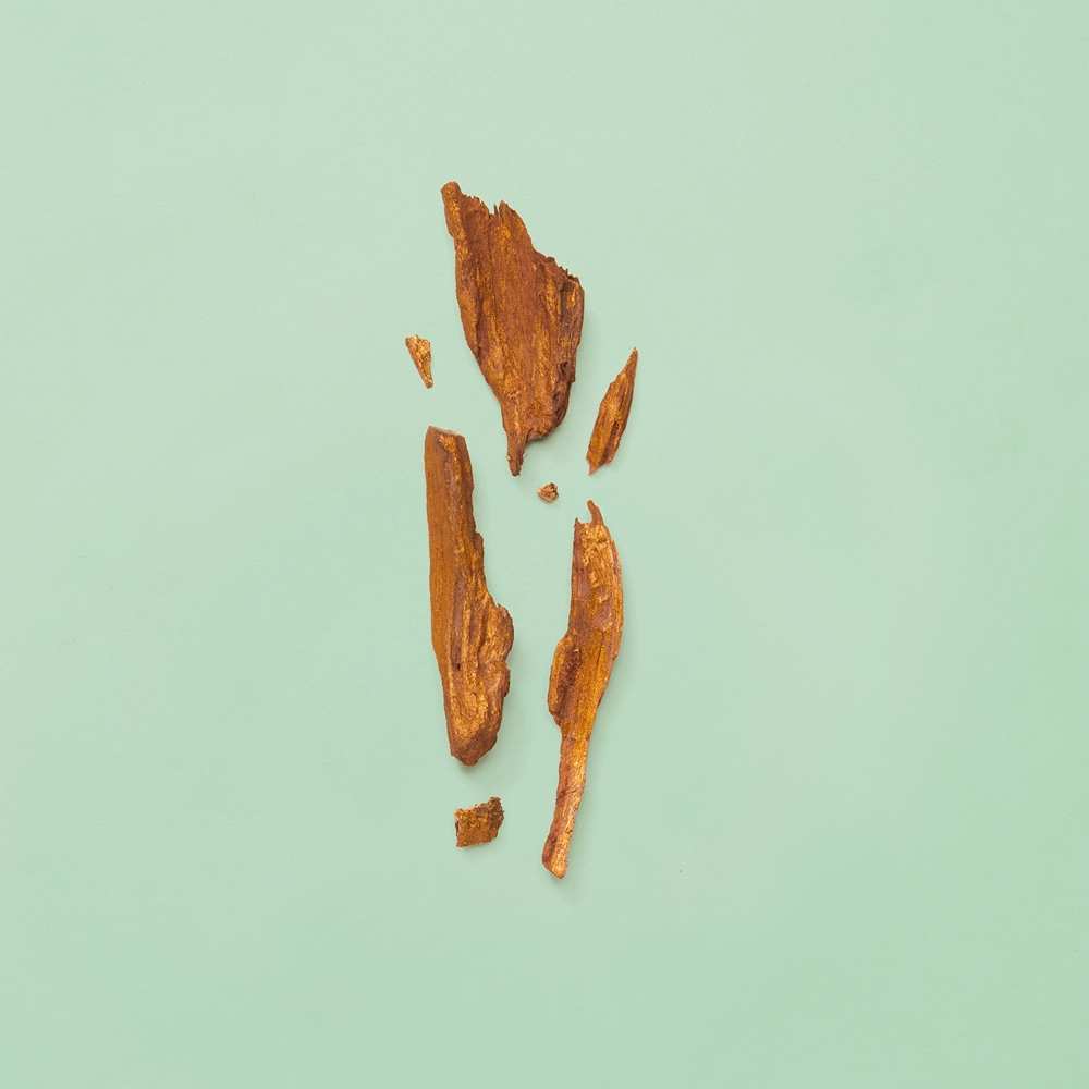 Gucci Guilty Absolute Eau de Parfum para hombre | notino.es