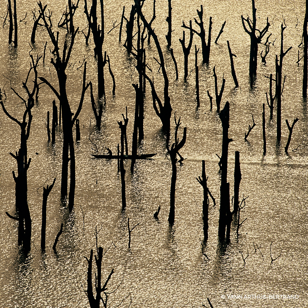 GUERLAIN Aqua Allegoria Rosa Rossa Forte Eau de Parfum nachfüllbar für ...