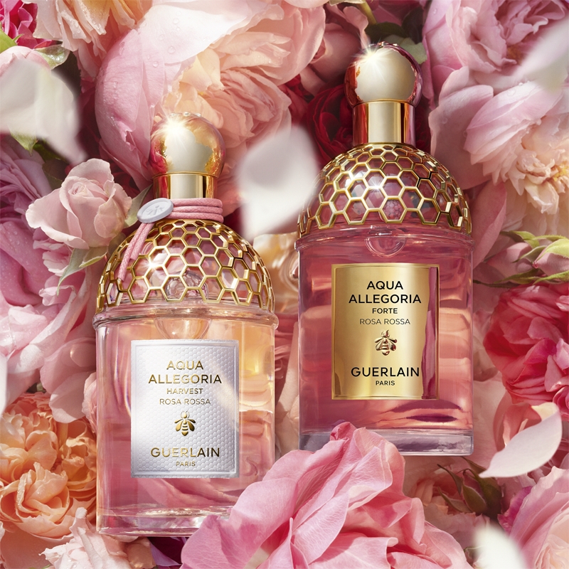 GUERLAIN Aqua Allegoria Rosa Rossa Harvest eau de toilette for women ...