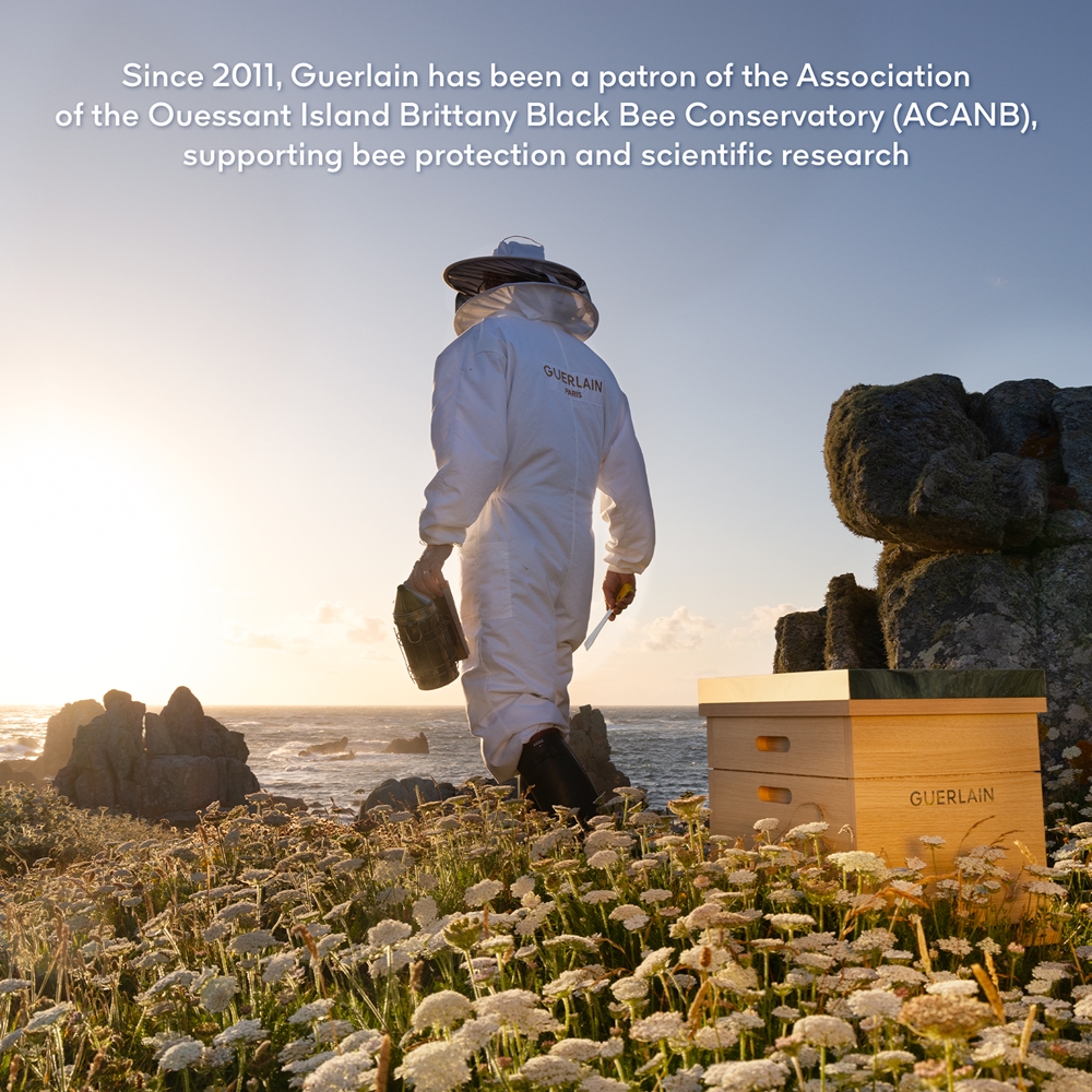 GUERLAIN Abeille Royale Multi-Wrinkle Minimizer Eye Cream крем за ...