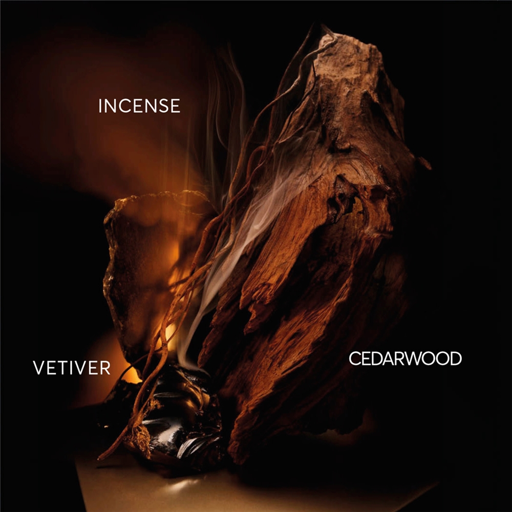 Hugo Boss BOSS Bottled Elixir парфумована вода intense для чоловіків ...