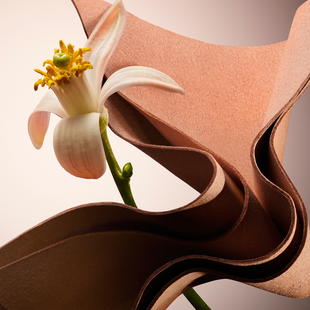 Hugo Boss BOSS The Scent Le Parfum perfume for men | notino.co.uk