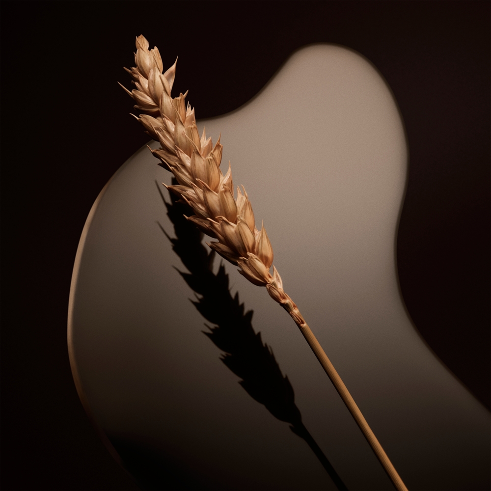 Hugo Boss BOSS The Scent Magnetic for him eau de parfum for men ...