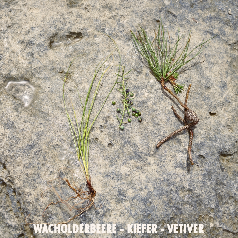 Jil Sander Sun Men Eau de Parfum Eau de Parfum für Herren