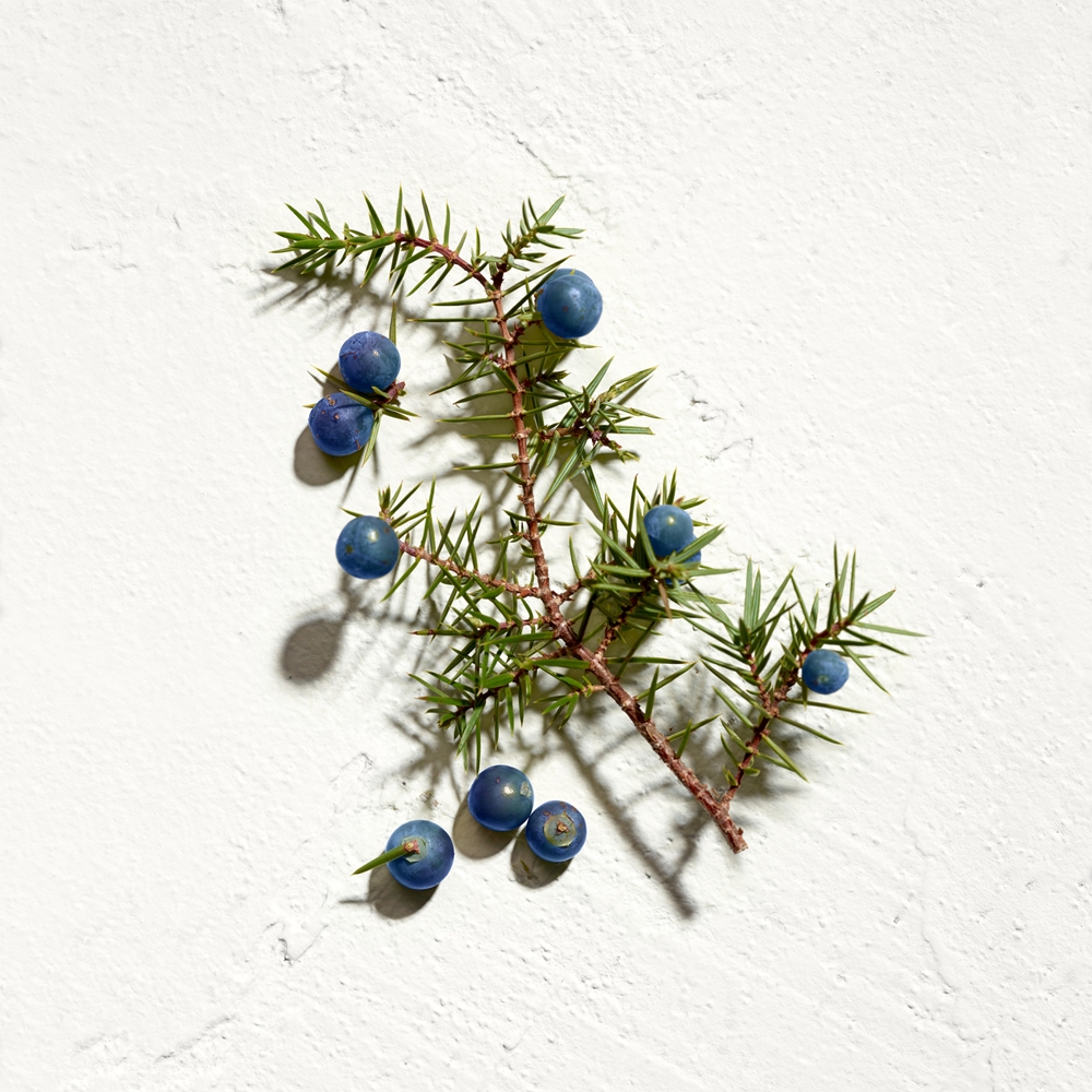 Jil Sander Sun Men Eau de Parfum Eau de Parfum für Herren | Notino