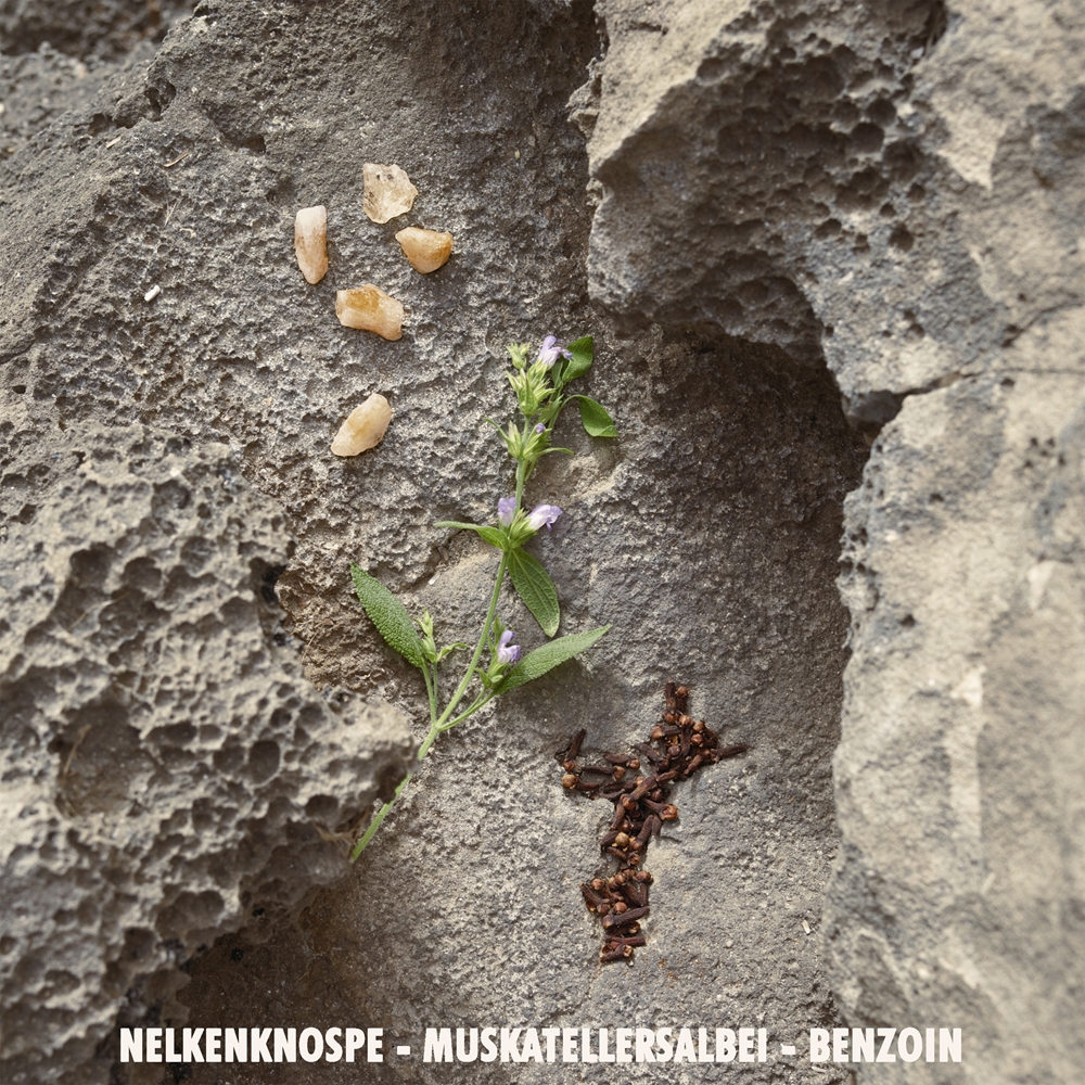 Jil Sander Sun Men Parfum perfume for men | notino.co.uk