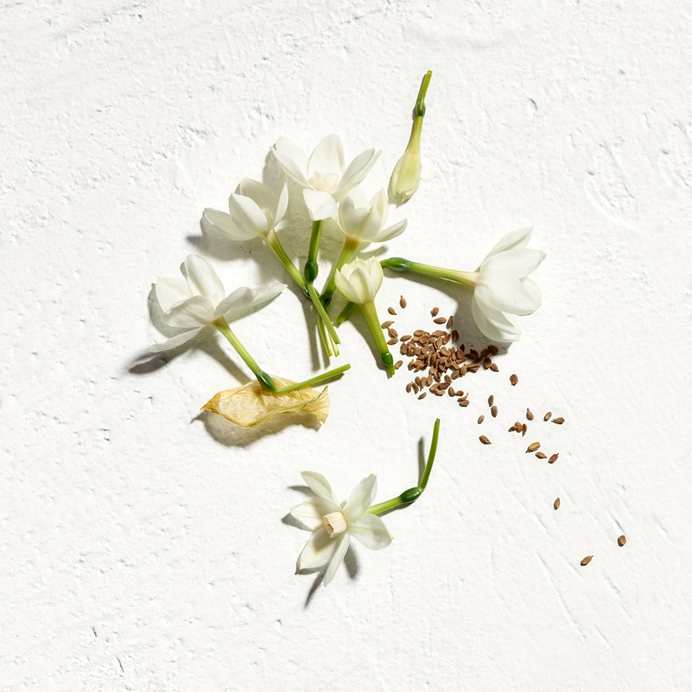 Jil Sander Sun Eau de Parfum Eau de Parfum för Kvinnor | notino.se