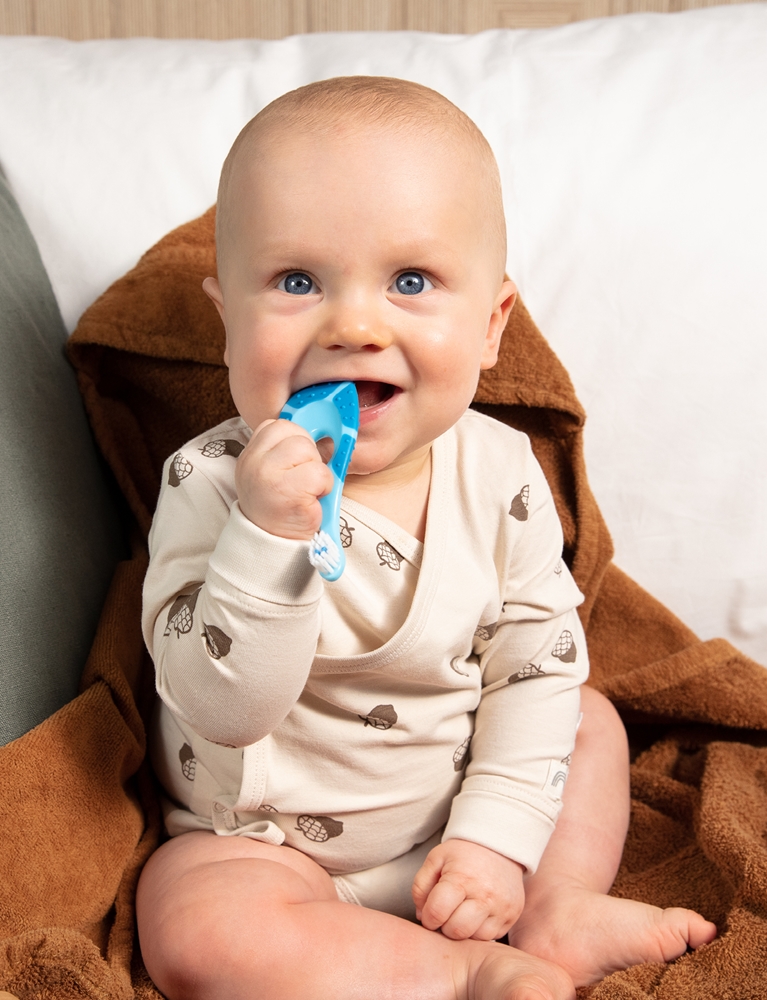 Jordan Step by Step 0-2 years 2 pack toothbrush and teether for ...