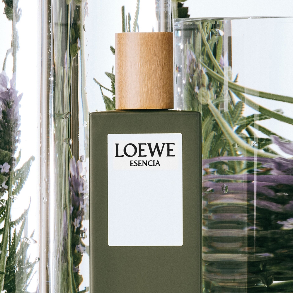 Loewe Esencia eau de toilette for men | notino.co.uk