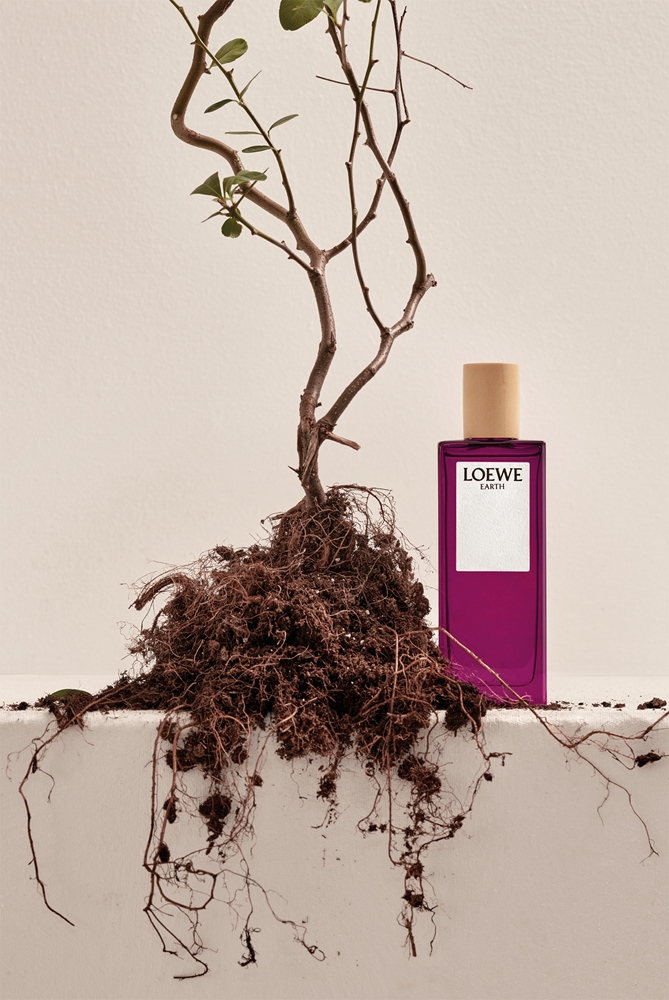 Loewe Earth Eau de Parfum unisex | notino.ie