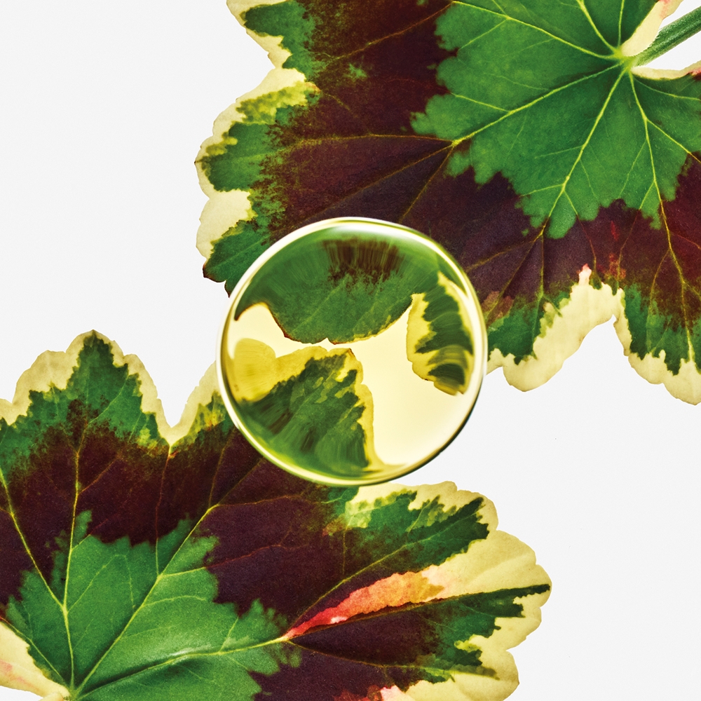 Loewe Esencia Elixir perfume for men | notino.co.uk