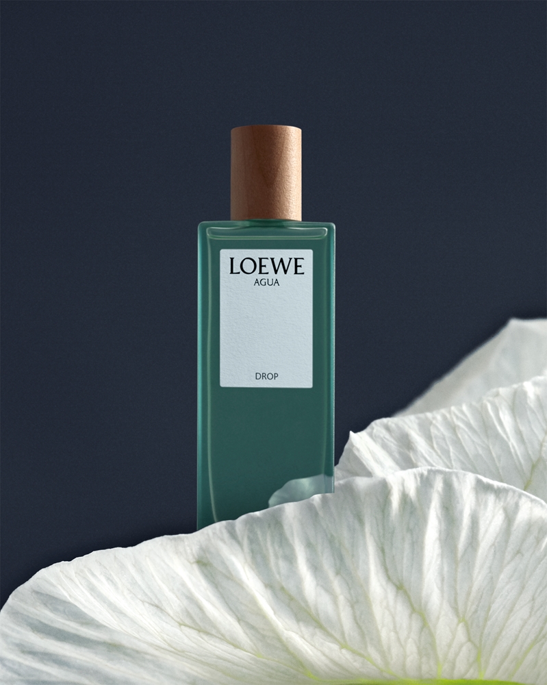 Loewe Agua Drop Eau de Parfum pour femme | notino.fr