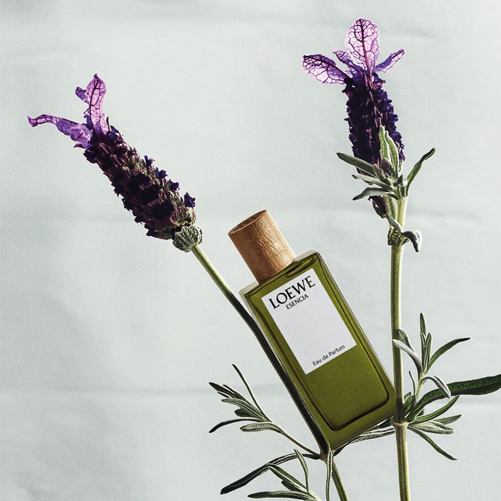 Loewe Miniature Set gift set unisex | notino.co.uk