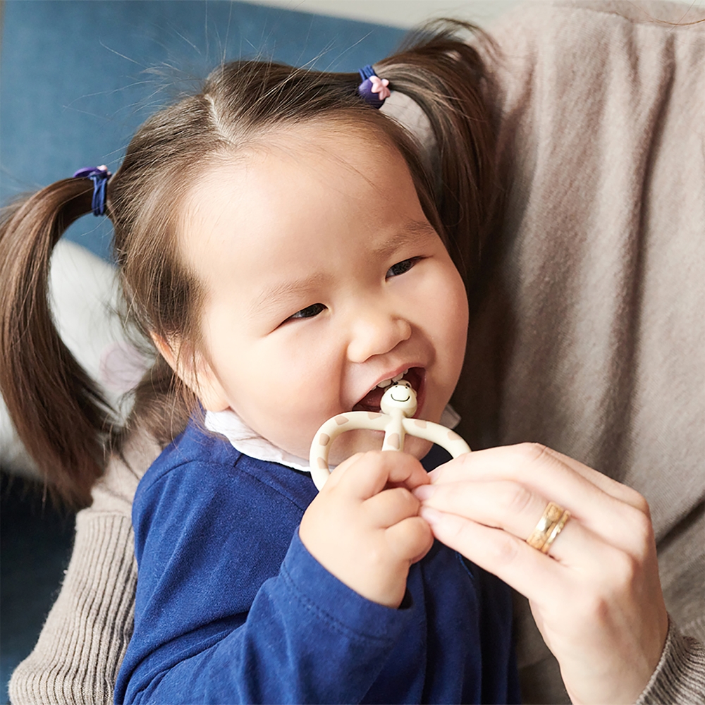 Matchstick Monkey Animal Collection Toothbrush for children | notino.ie