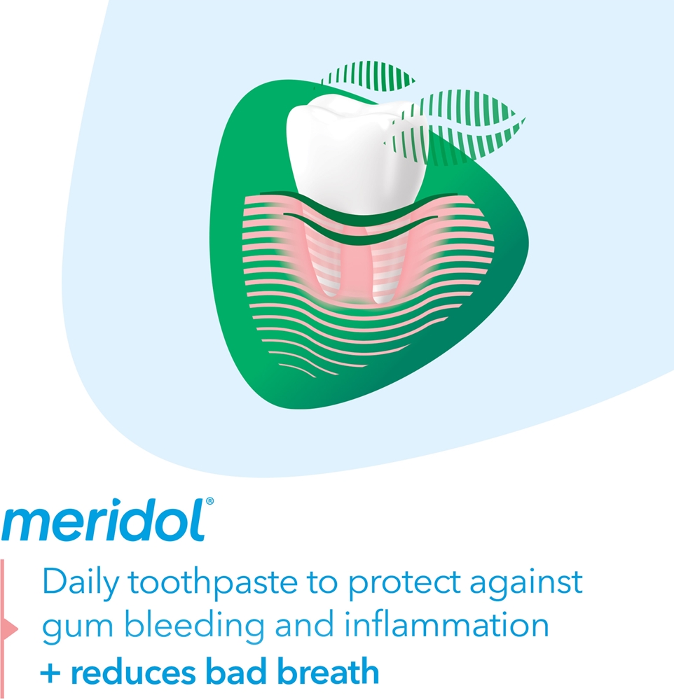 Meridol Gum Protection Fresh Breath Toothpaste for Fresh Breath | notino.ie