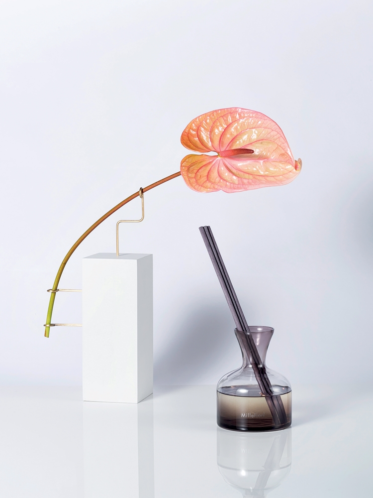 Millefiori Air Design Vase Dove aroma diffuser without refill (10 x 13 ...