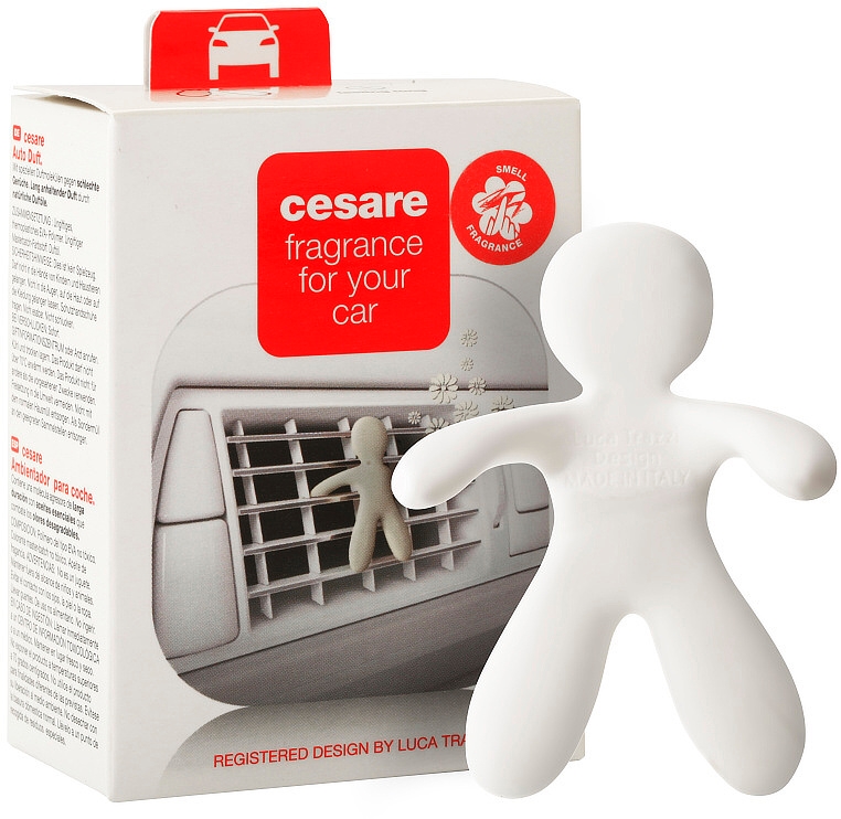 Mr & Mrs Fragrance Cesare Fresh Air deodorante per auto I | notino.it