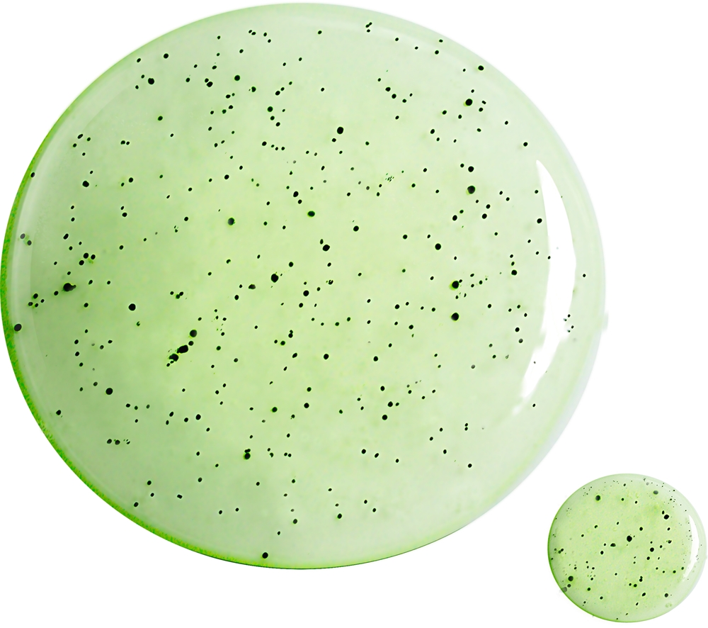 Payot Pâte Grise Gelée Nettoyante čisticí pleťový gel pro mastnou a ... Payot Pâte Grise Gelée Nettoyante čisticí pleťový gel pro mastnou a ...