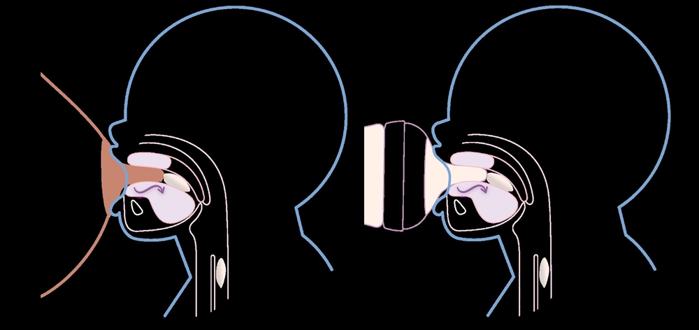 Philips Avent Natural Response Glass SCY930/01 baby bottle | notino.co.uk