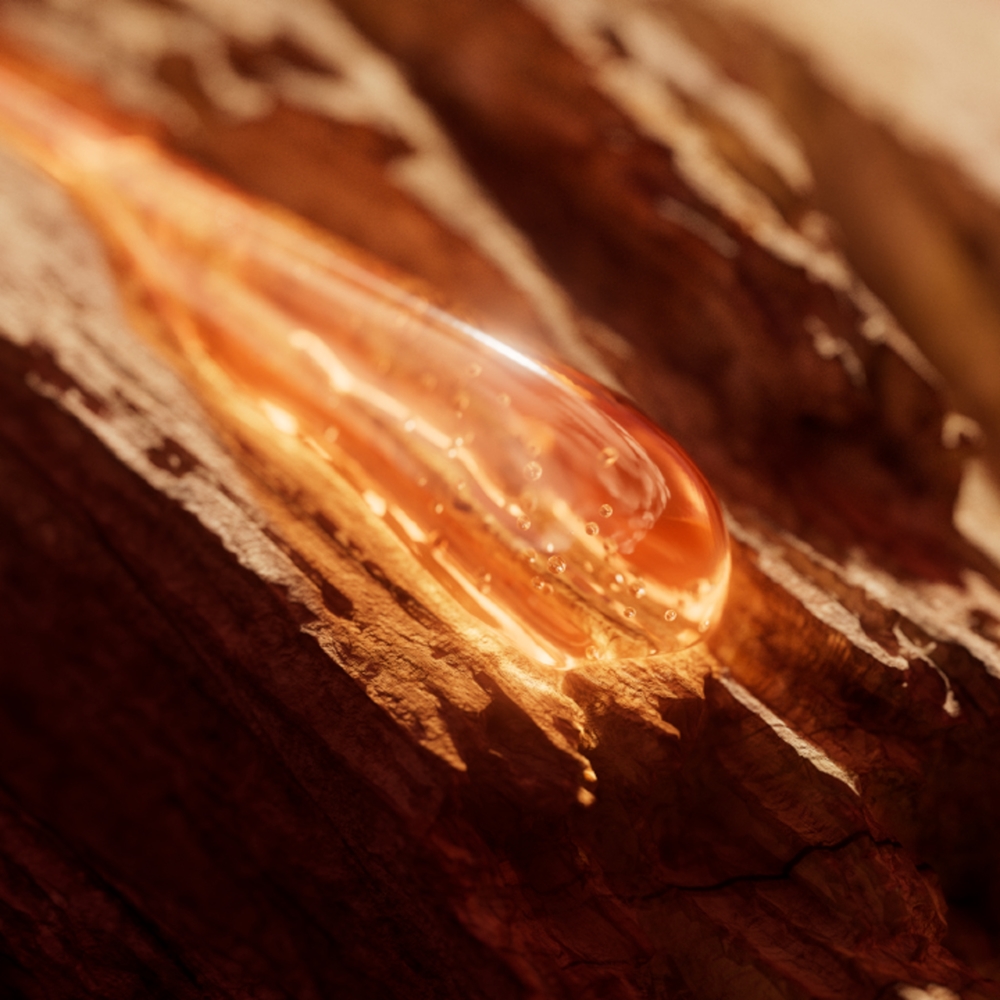 Ralph Lauren Romance Elixir Eau de Parfum für Damen