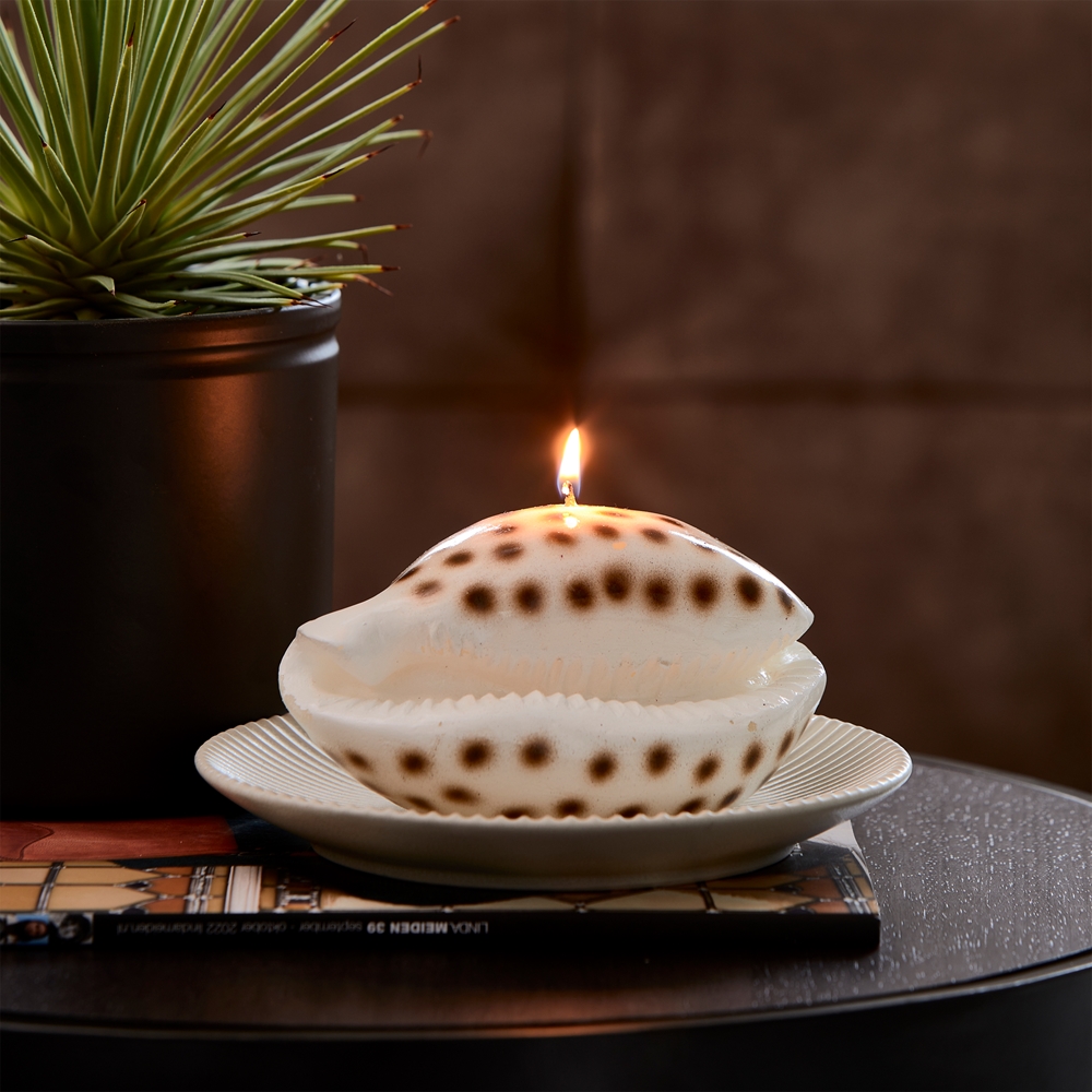 Rivièra Maison Shell decorative candle | notino.ie