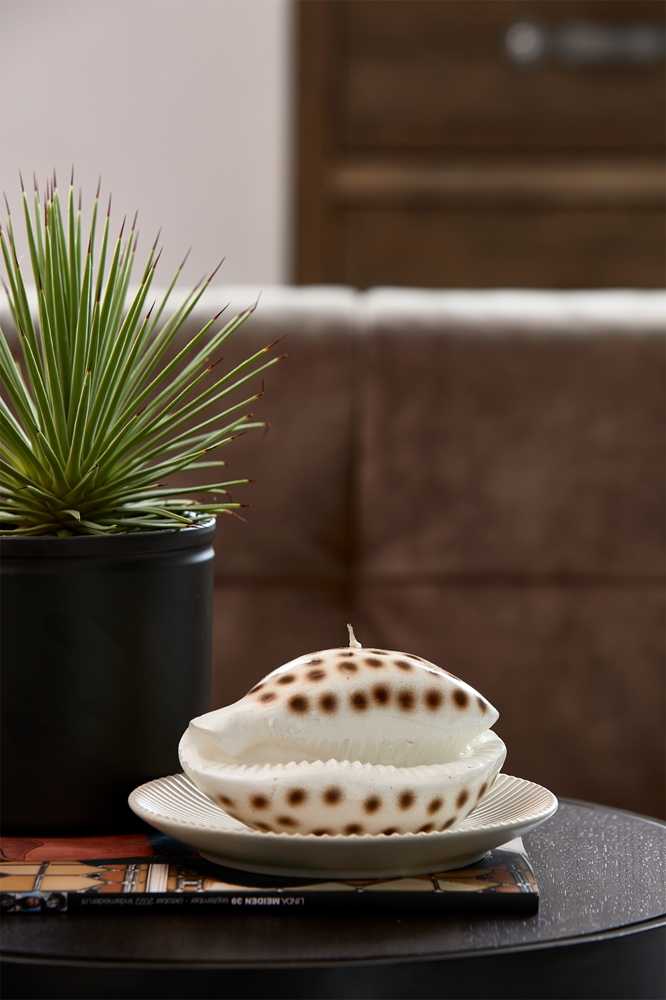 Rivièra Maison Shell | notino.gr