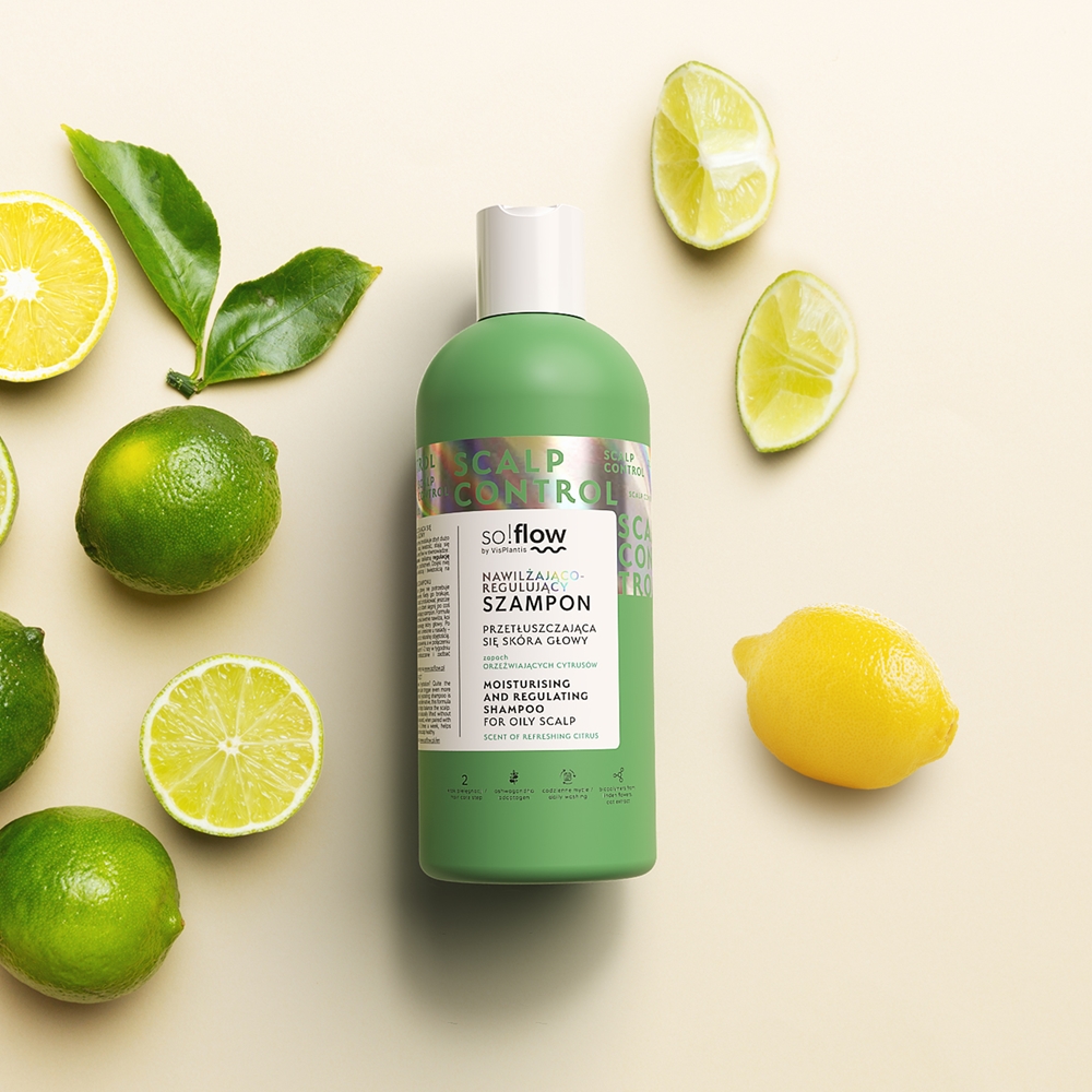 so!flow Oily Scalp Moisturizing and Regulating Shampoo shampoing ...