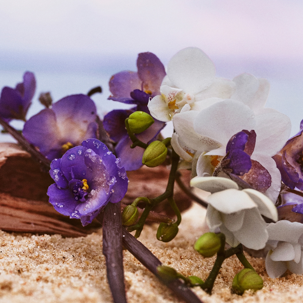 Sol de Janeiro Cheirosa '59 perfumowany spray do ciała i włosów | notino.pl