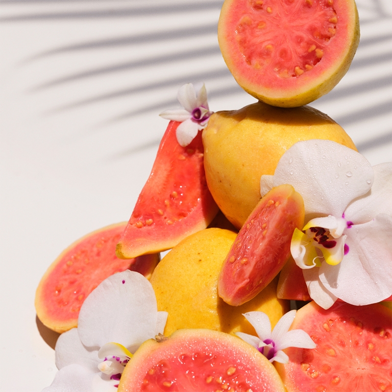 Sol de Janeiro Cheirosa '48 spray perfumado para corpo e cabelo | notino.pt