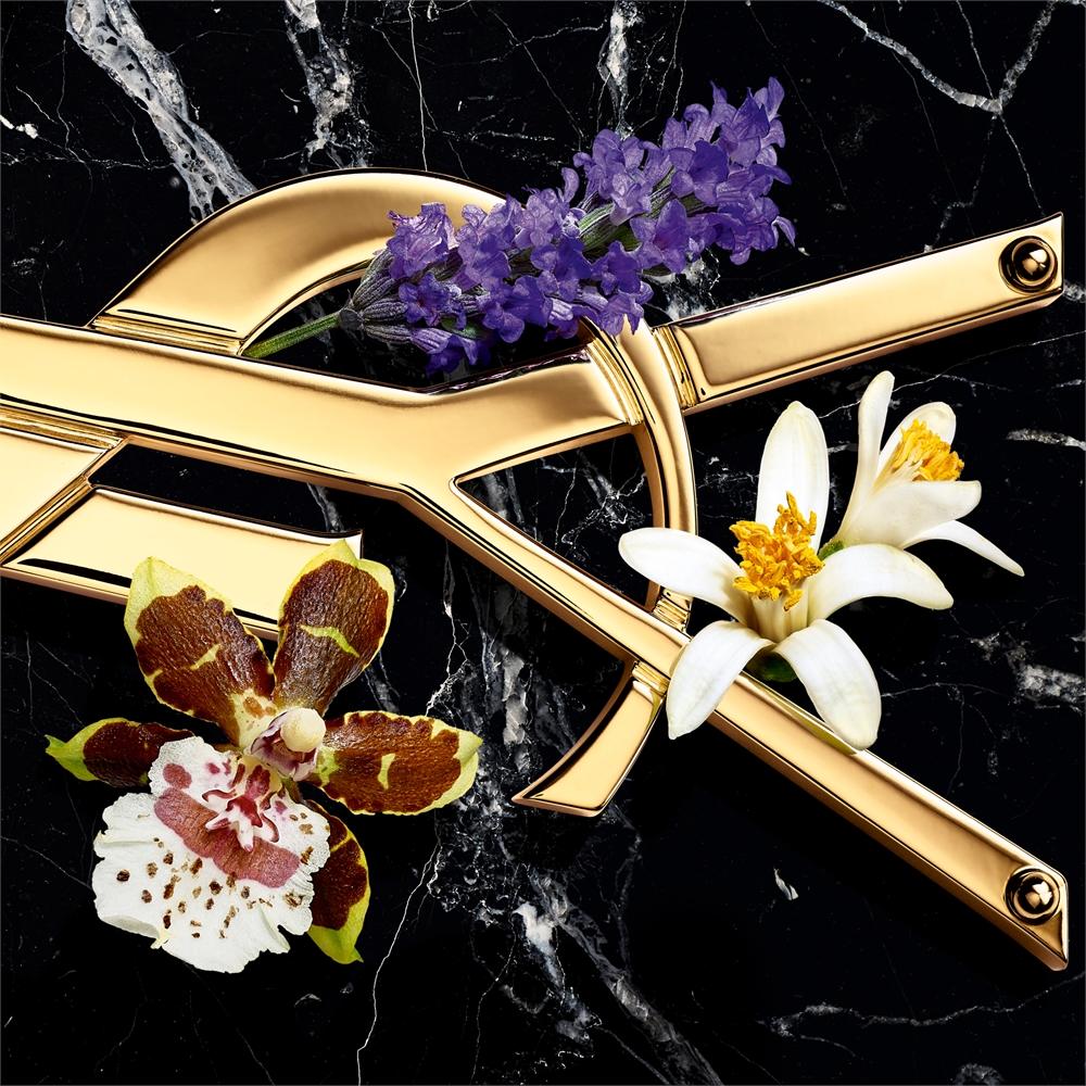 Yves Saint Laurent Libre Intense eau de parfum | YSL Libre Intense ...