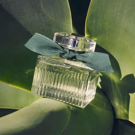 Chloé Rose Naturelle Intense eau de parfum refillable for women | notino.co.uk